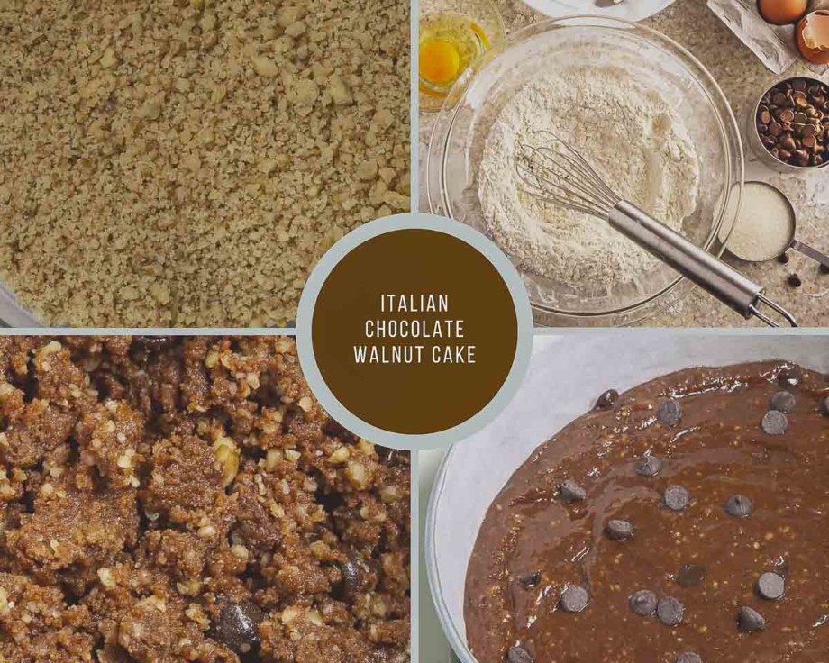 Italian Chocolate Walnut Cake (Torta di Noci) - Serena Lissy